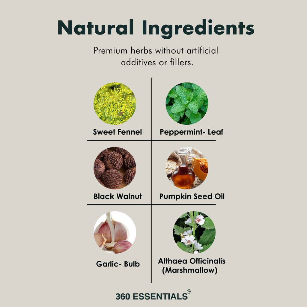 360 Essentials Advanced Digestive Support Liquid Drops - 118ml Non-GMO ...